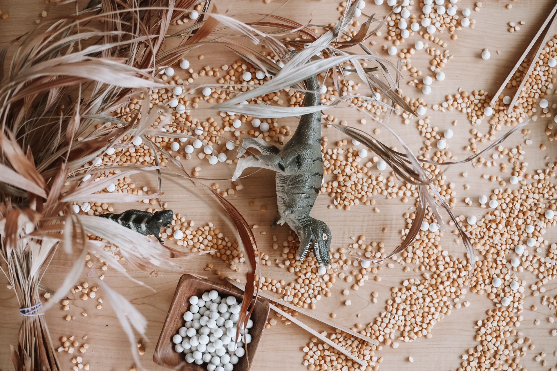 Dry Sensory Bases – The Saltwater Collective