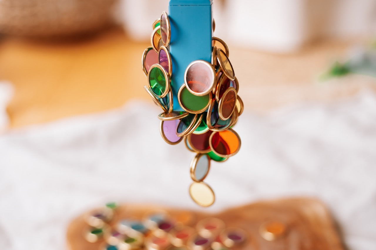 Learn and Grow – The Saltwater Collective