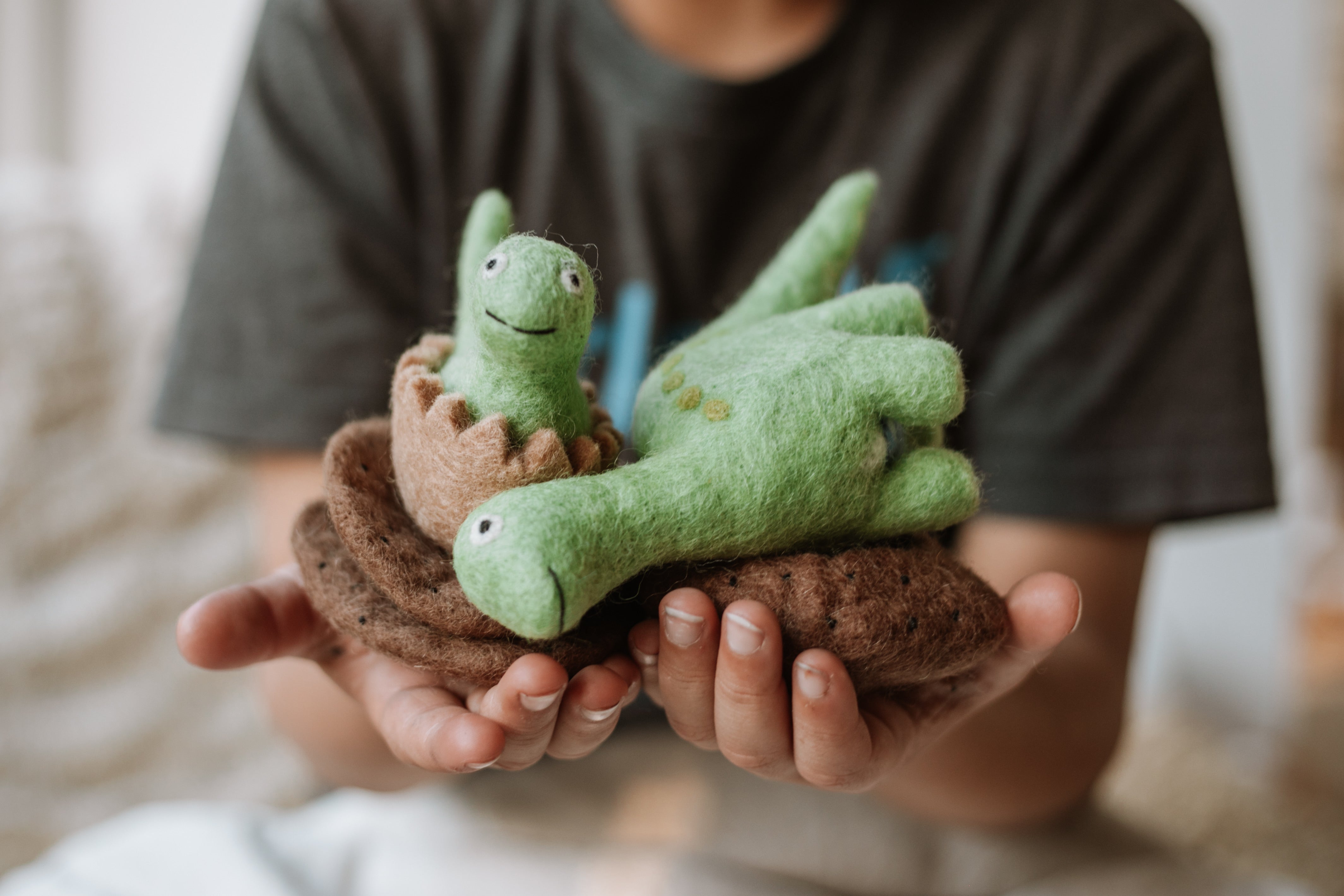 Life Cycle of a Brontosaurus – The Saltwater Collective