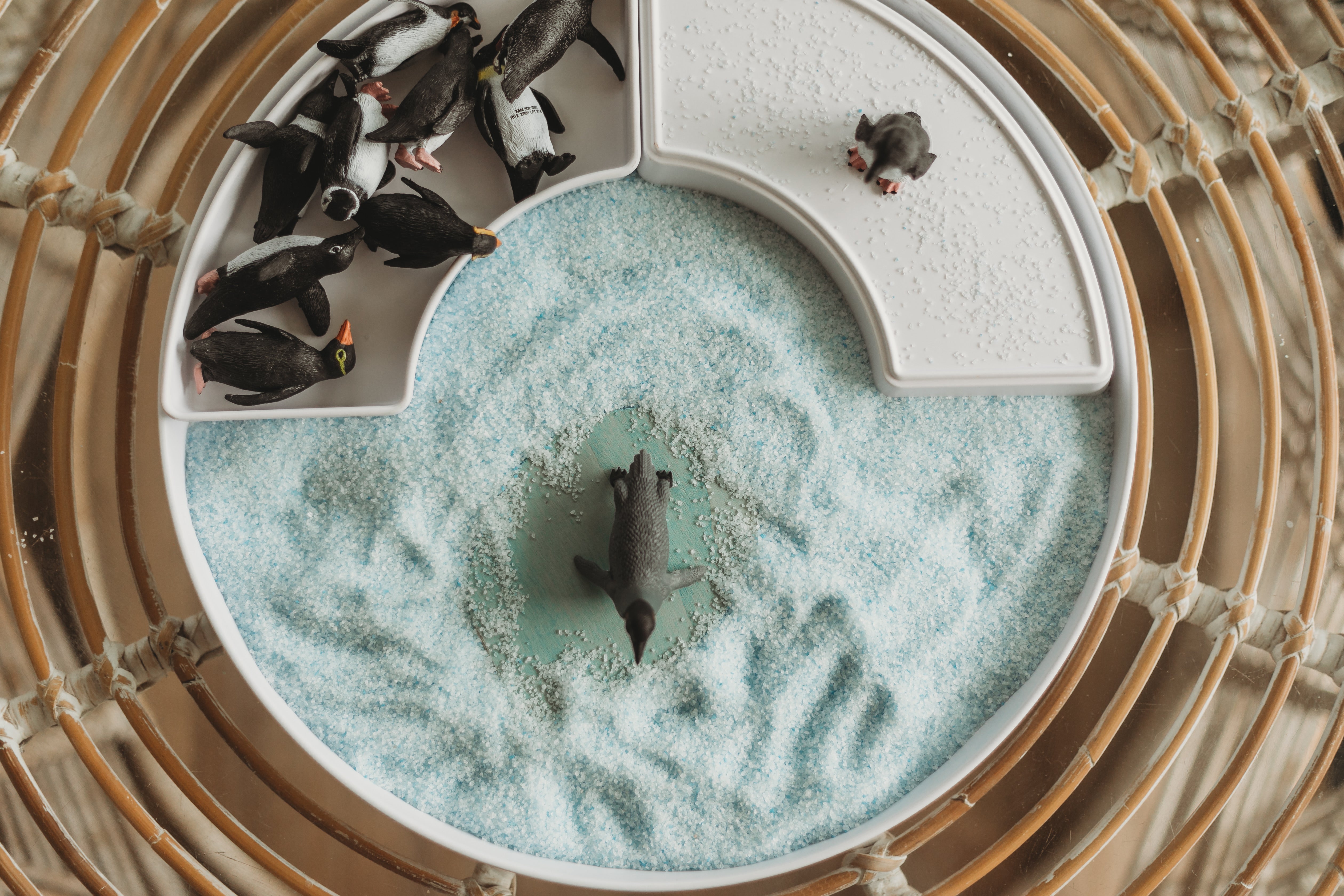 Icy Waters - Sensory Salt – The Saltwater Collective
