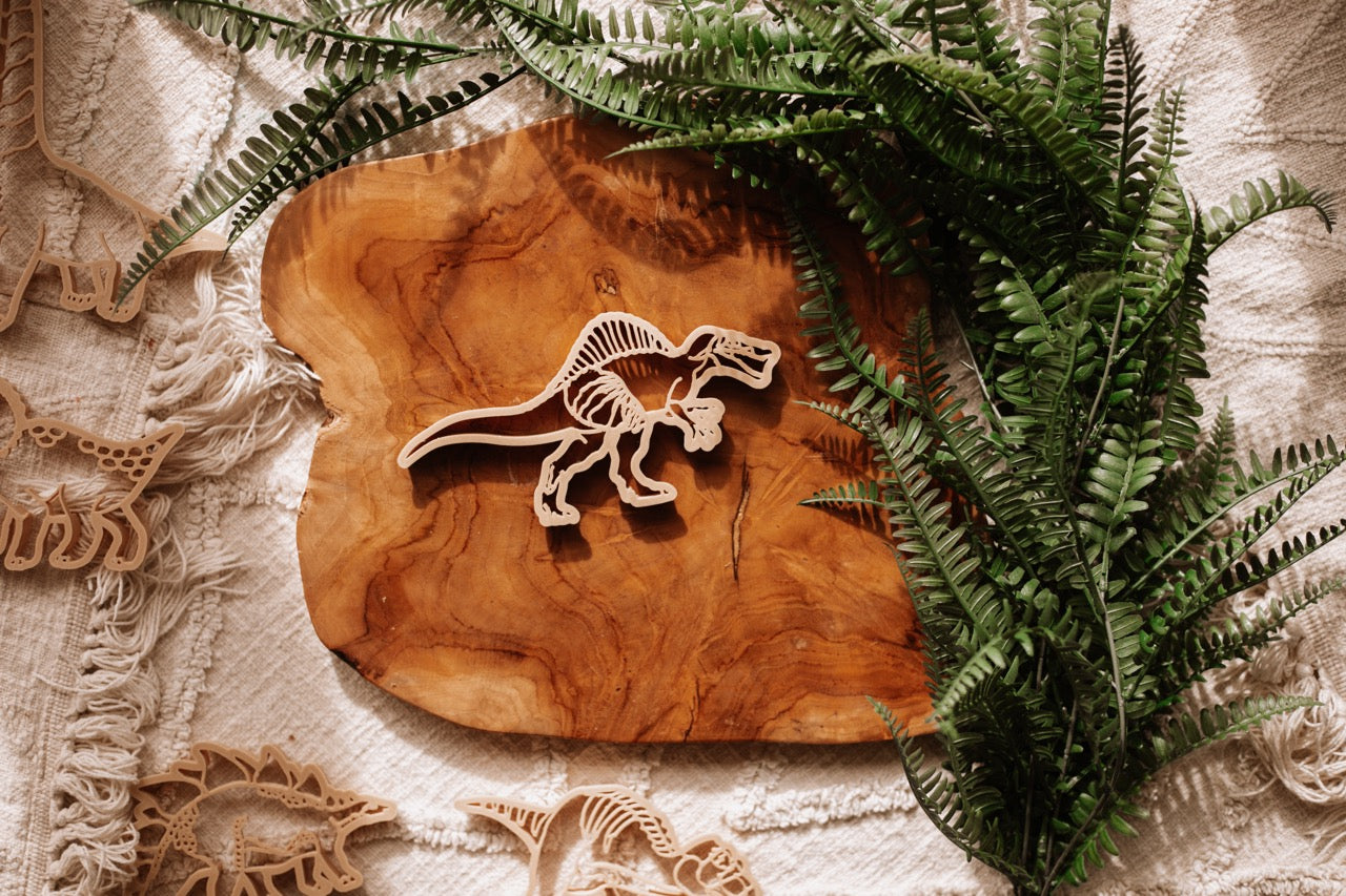 Spinosaurus Eco Cutter – The Saltwater Collective