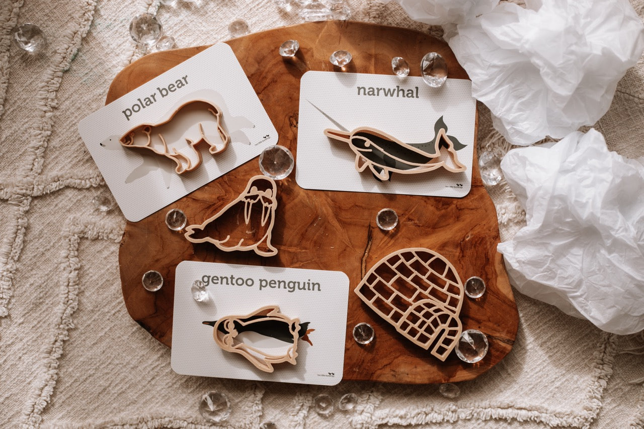 Mini Arctic Eco Cutter Set – The Saltwater Collective