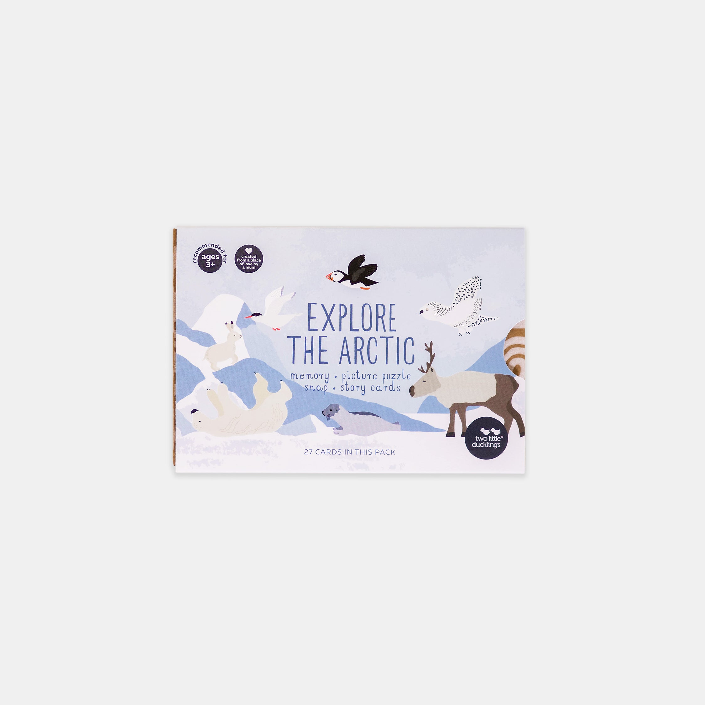 Explore the Arctic - Snap & Memory Game – The Saltwater Collective