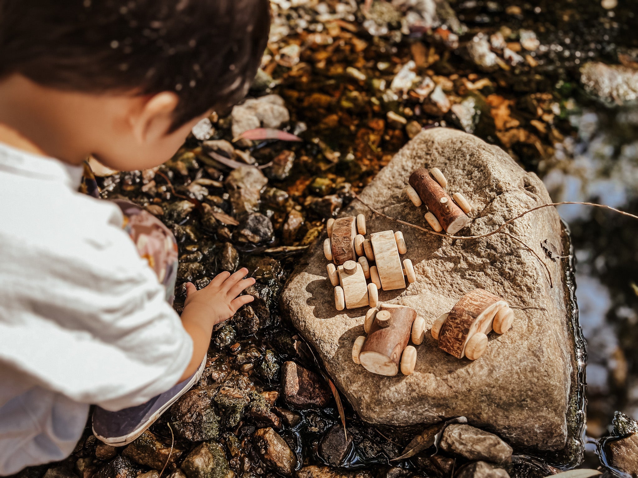 Tree Mini Vehicle Set of 6 – The Saltwater Collective