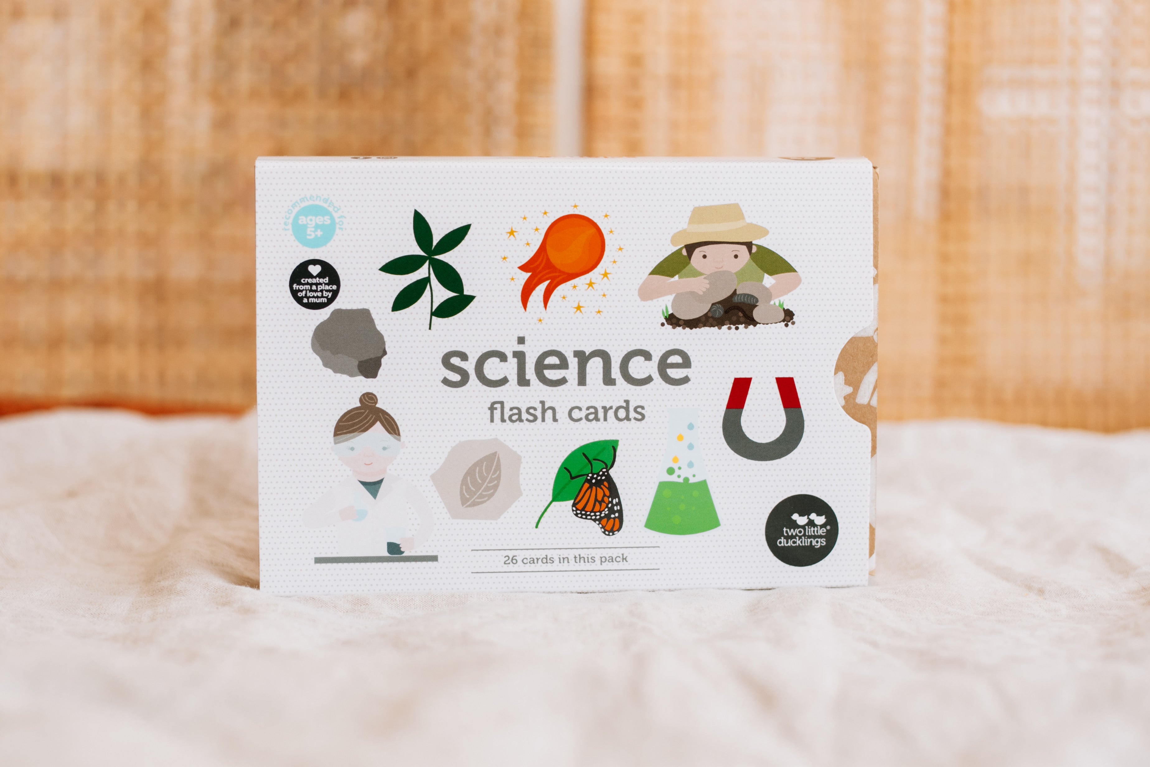 Science Flash Cards – The Saltwater Collective
