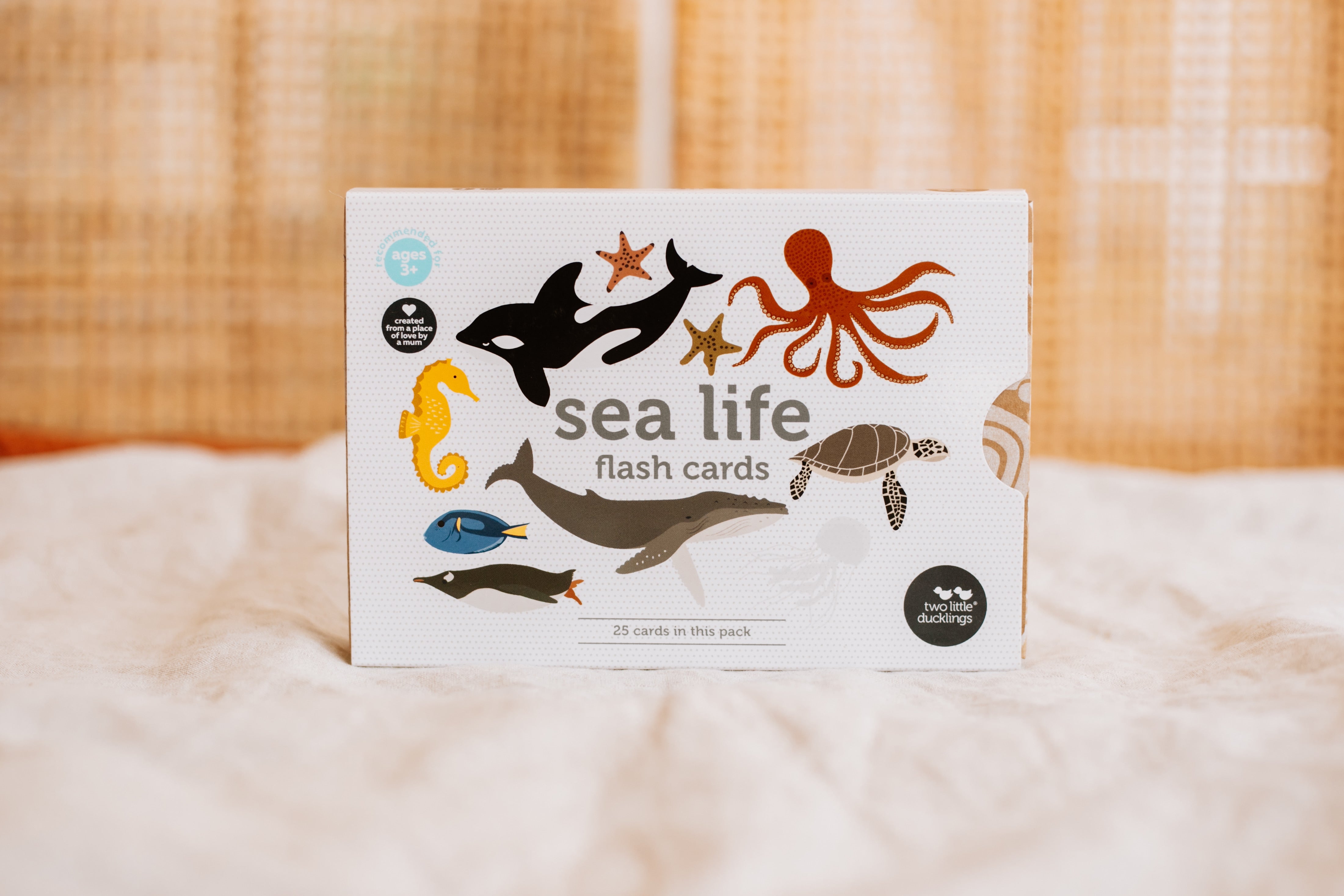Sea Life Flash Cards – The Saltwater Collective
